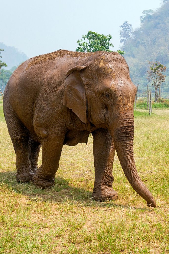 What to do in Koh Samui - 2018 | (UPDATED)