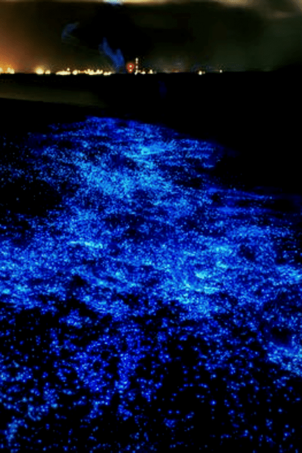 MUST READ: 14 BEST THINGS TO DO KOH RONG ISLAND!