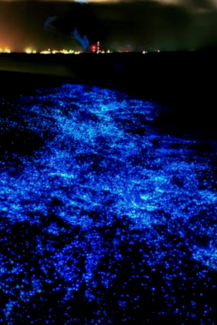 MUST READ: 14 BEST THINGS TO DO KOH RONG ISLAND!