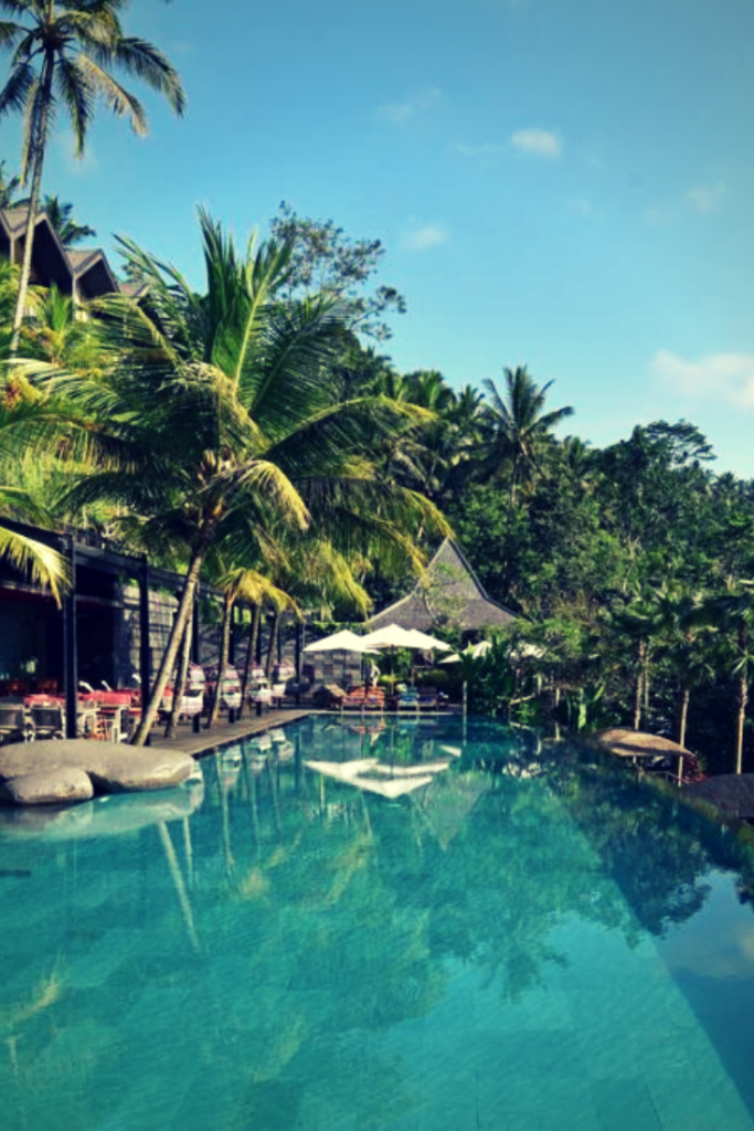 JUNGLE FISH UBUD, BALI (SWIMMING POOL) - TheNorthernBoy