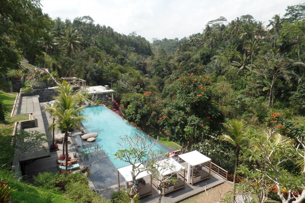 JUNGLE FISH UBUD, BALI (INFINITY POOL) - TheNorthernBoy