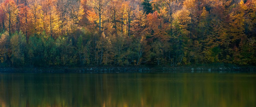 [PARC DE LA YAMASKA (NATIONAL PARK + CAMPING)